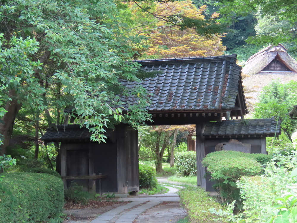 薬師池公園Ⅱ・・・カワセミと出会う・・・: ミキの雑記帳