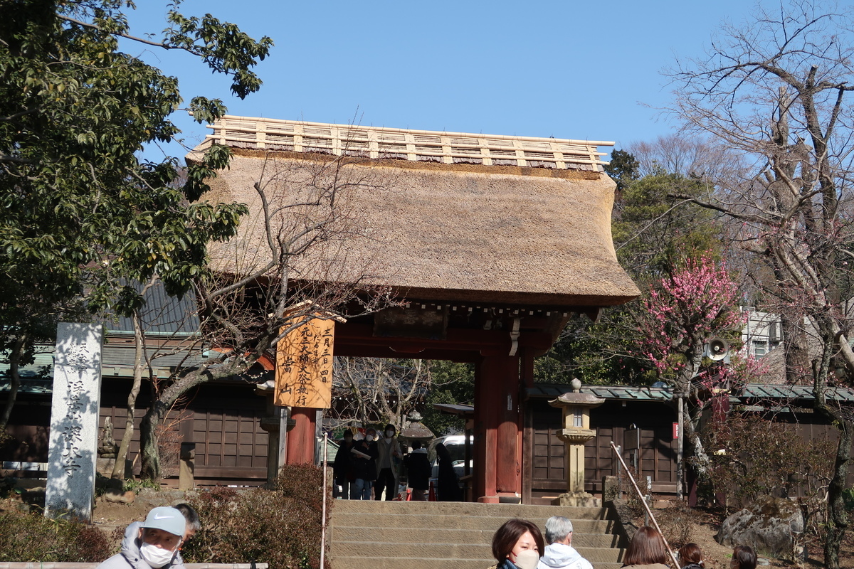 梅まつり・・・カワヅザクラやマンサクなど・・・: ミキの雑記帳